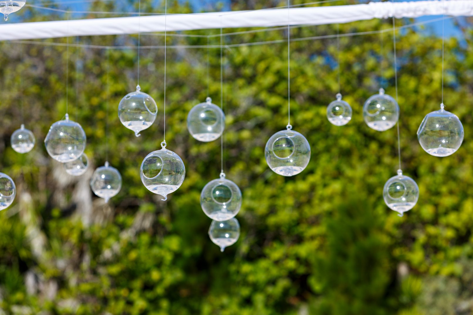 Tropical Fete - inflection studio